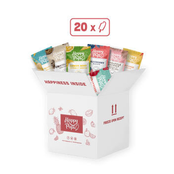 Ice Pops | Paletas | Dairy Free Frozen Treats – Happy Pops